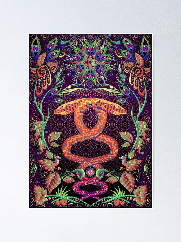 "Psychedelic Ayahuasca snake spirit" Poster for Sale by grebenru ...