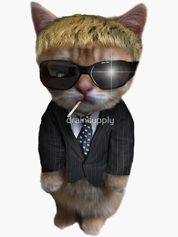 "Thaiboy DJ Billybool Kitty" Sticker for Sale by drainsupply | Redbubble
