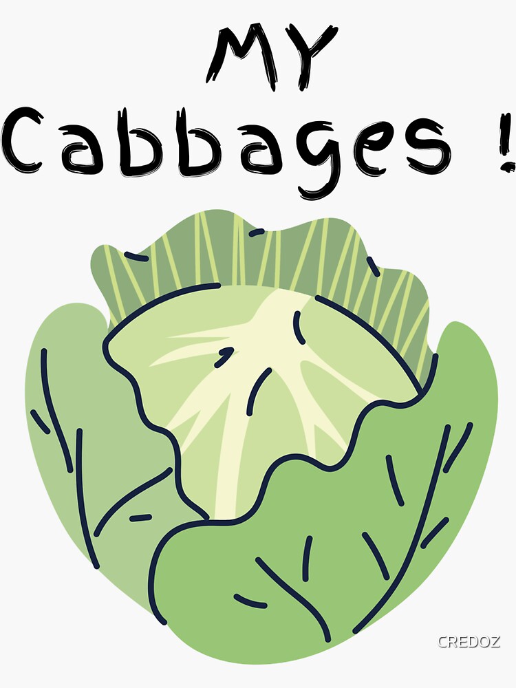 "My Cabbage Guy " Sticker for Sale by CREDOZ | Redbubble