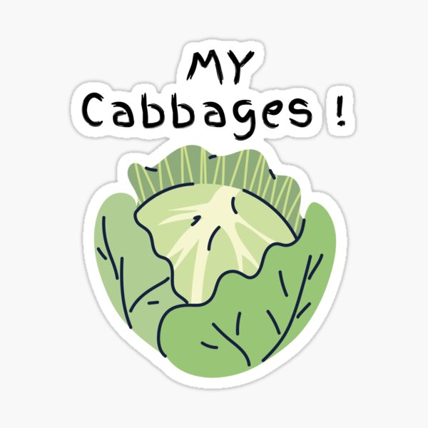 "My Cabbage Guy " Sticker for Sale by CREDOZ | Redbubble