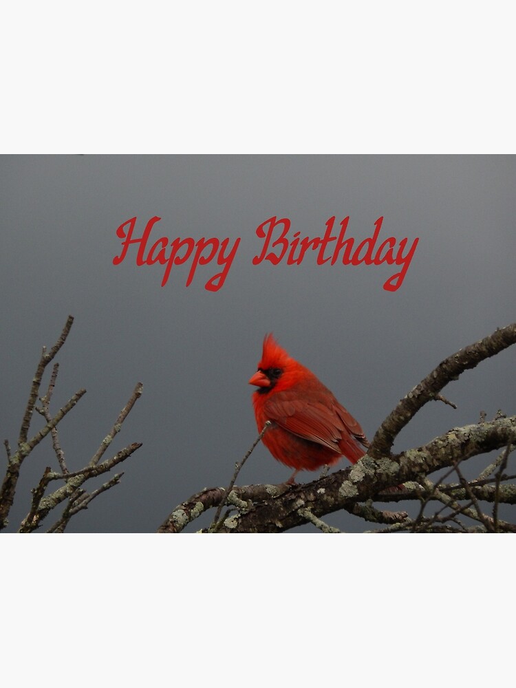 "Happy Birthday Cardinal Card" Poster for Sale by ByCollins | Redbubble