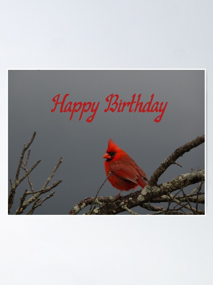 "Happy Birthday Cardinal Card" Poster for Sale by ByCollins | Redbubble