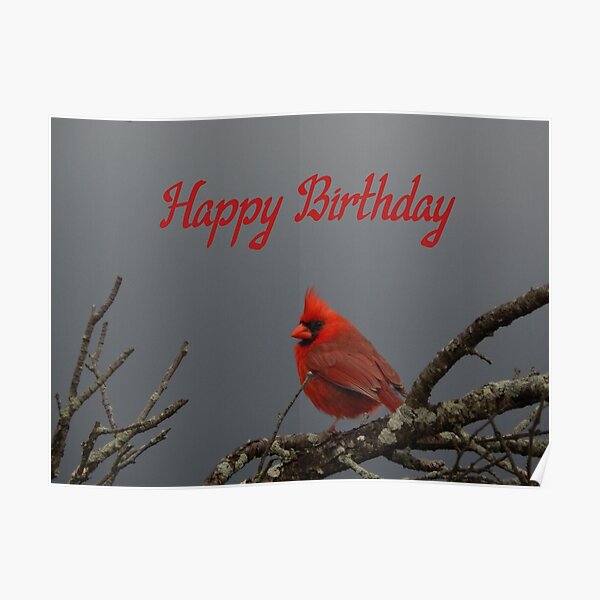 "Happy Birthday Cardinal Card" Poster for Sale by ByCollins | Redbubble