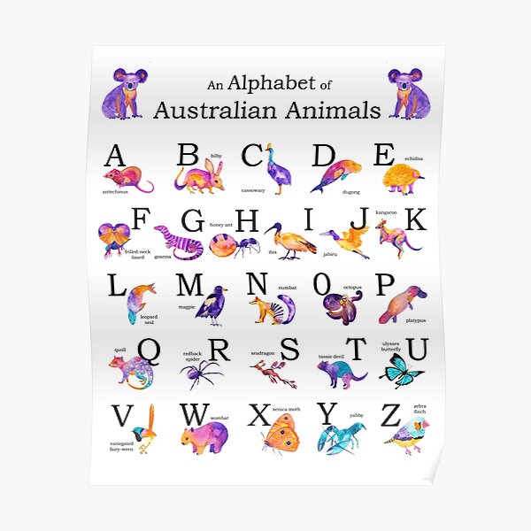 "Alphabet of Australian Animals" Poster for Sale by michellefleurk ...