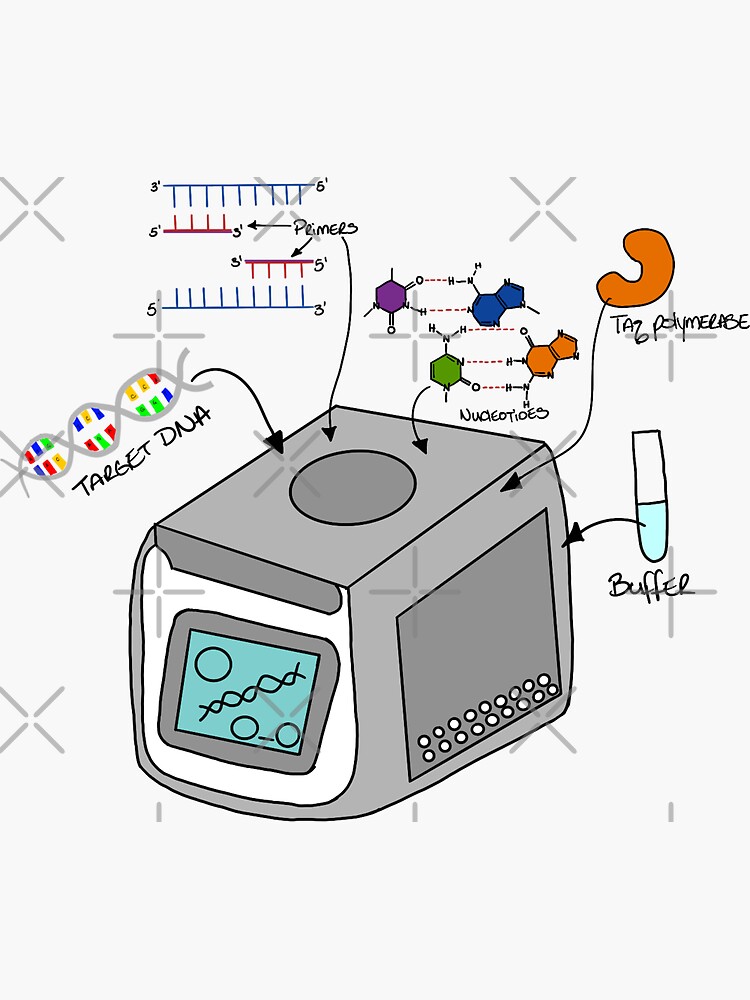 "PCR" Sticker by olivierxx33 | Redbubble