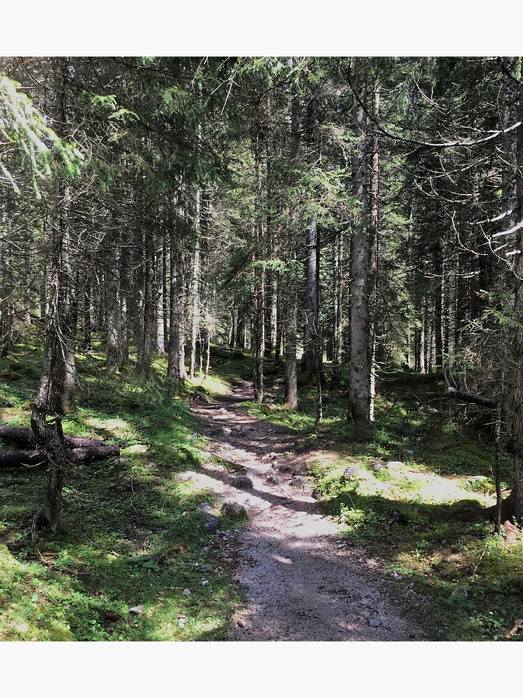 "Bright forest path" Poster for Sale by ray-designs- | Redbubble