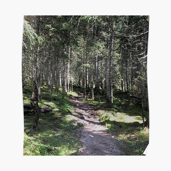 "Bright forest path" Poster for Sale by ray-designs- | Redbubble