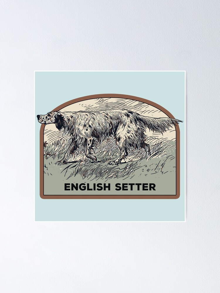 "Dog English Setter illustration" Poster for Sale by Lemomo-zoo | Redbubble