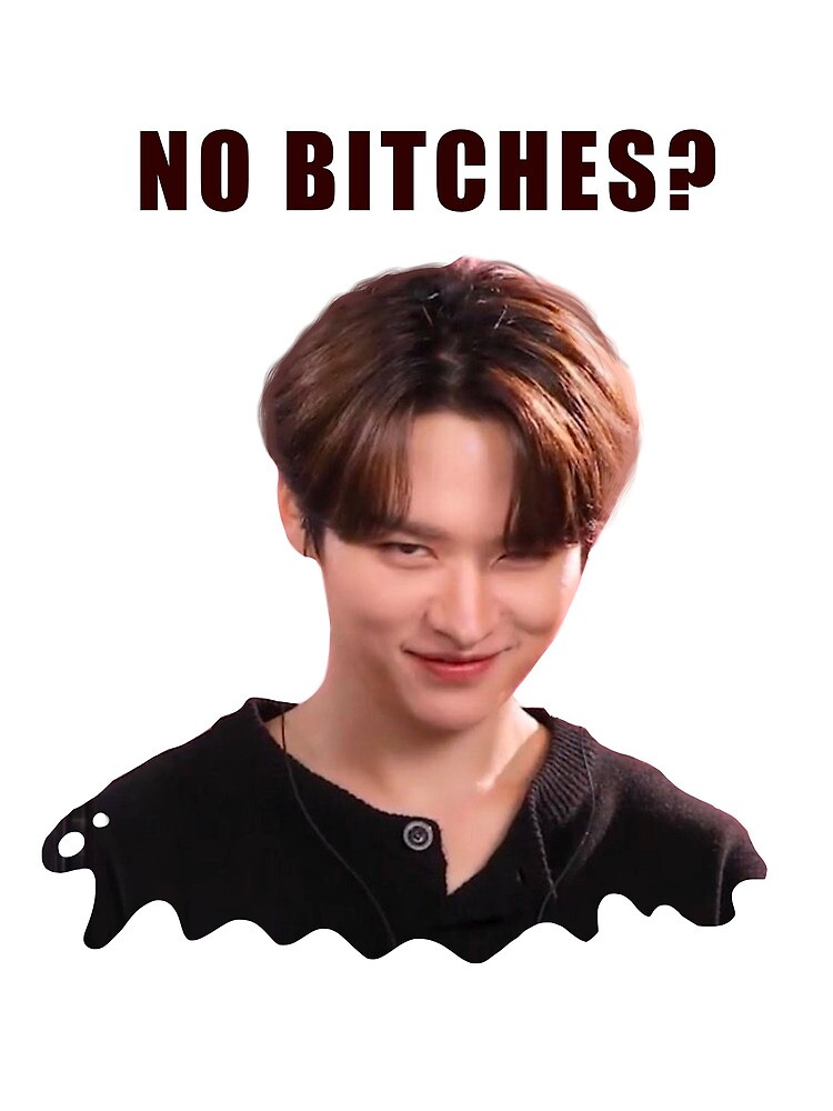 "LEE MINHO lee Know STRAY KIDS No Bitc*e$? LOGO DESIGN" Photographic ...