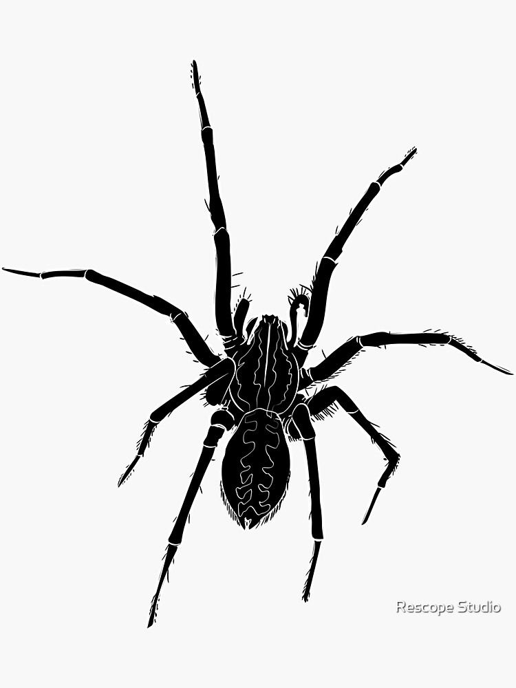 "Black Spider " Sticker for Sale by RescopeGallery | Redbubble