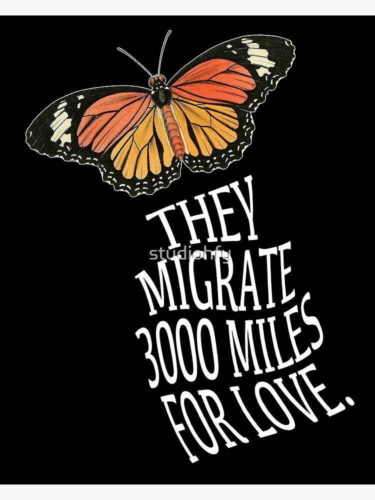 "They migrate 3000 miles for love. The incredible instinct of Monarch ...
