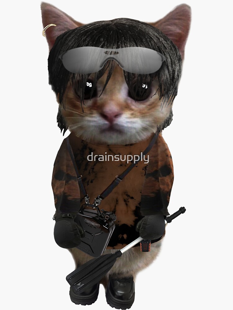 "Ecco2k Peroxide Kitty" Sticker for Sale by drainsupply | Redbubble