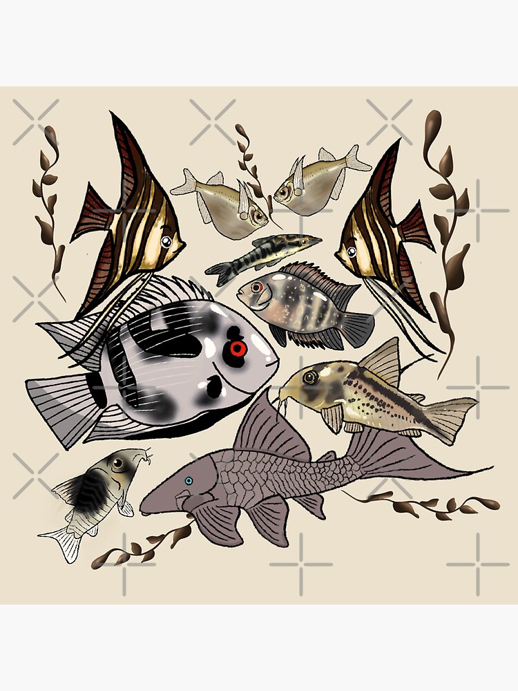 "Amazon fish in brown " Sticker for Sale by PomPin-Drawing | Redbubble