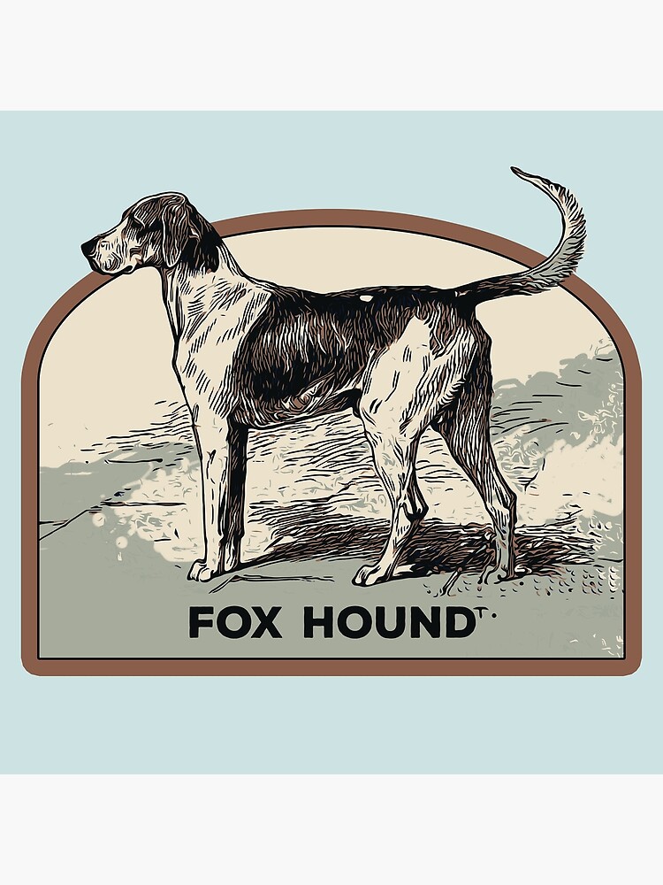 "Dog Fox Hound illustration" Poster for Sale by Lemomo-zoo | Redbubble