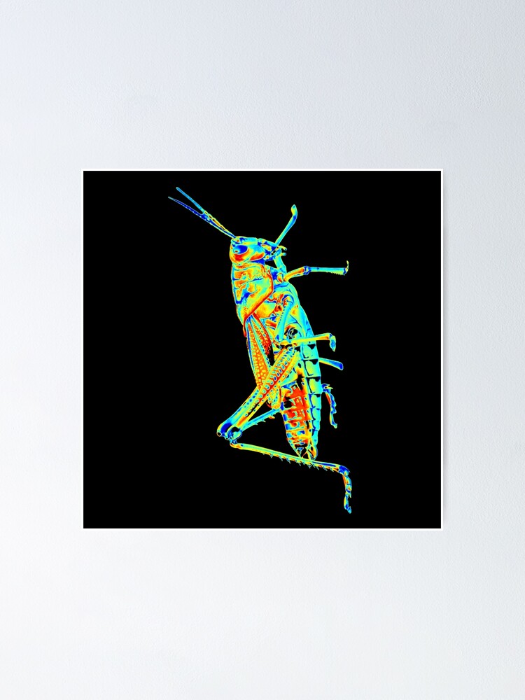 "Grasshopper Heatmap" Poster for Sale by DazArtDesigns | Redbubble