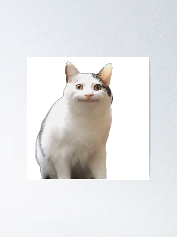 "Beluga Cat Safari" Poster for Sale by mo91 | Redbubble