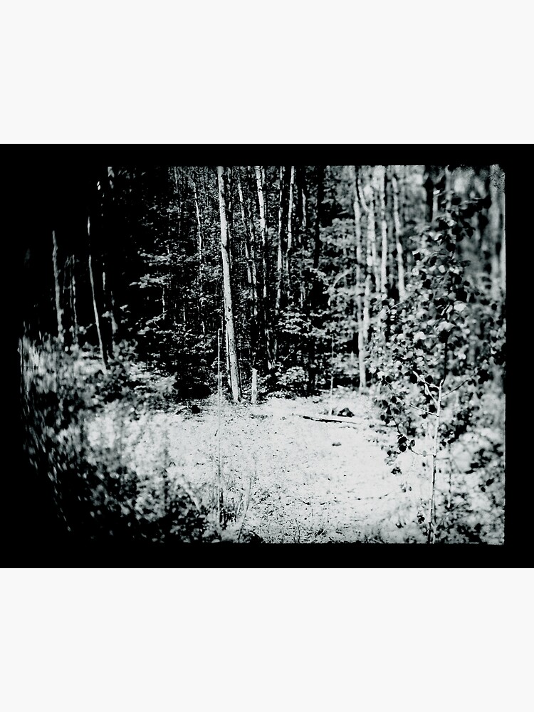 "4x5 paper negative" Poster for Sale by dlrothvh | Redbubble