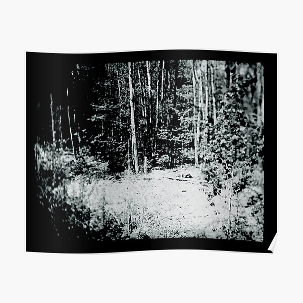 "4x5 paper negative" Poster for Sale by dlrothvh | Redbubble