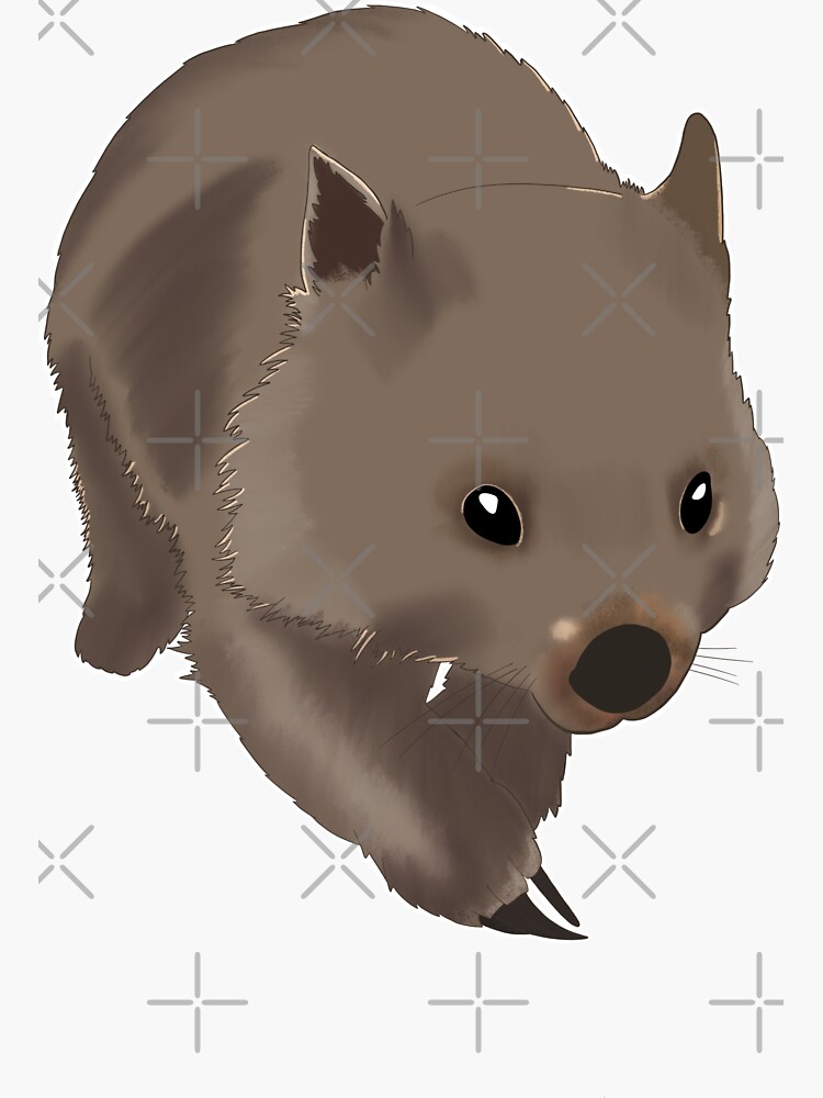 "Super Cute Baby Wombat Cartoon" Sticker for Sale by WWildWanderer ...