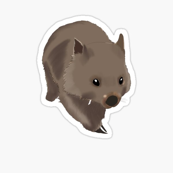 "Super Cute Baby Wombat Cartoon" Sticker for Sale by WWildWanderer ...