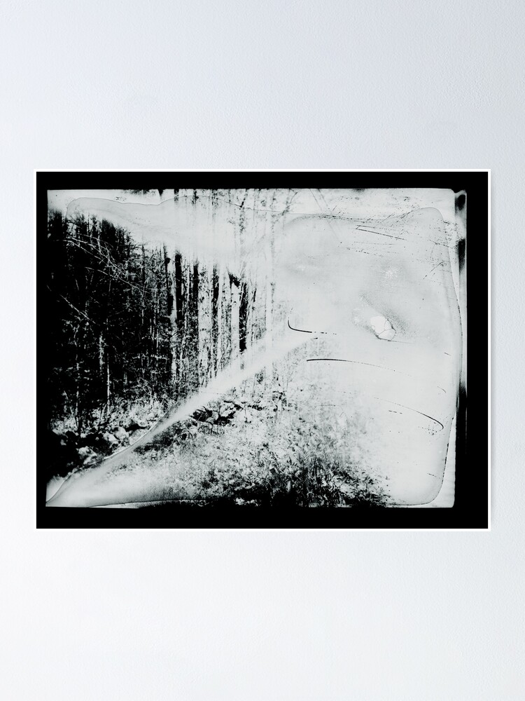 "4x5 paper negative" Poster for Sale by dlrothvh | Redbubble