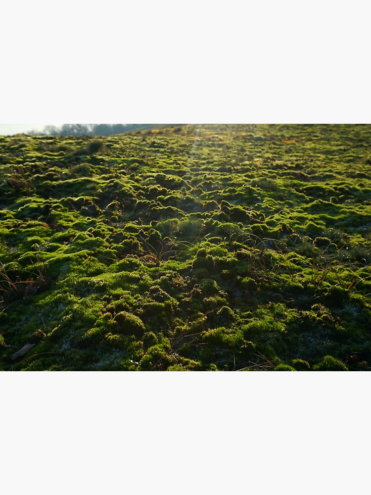 "moss moss moss" Sticker by MochiMoiLens | Redbubble