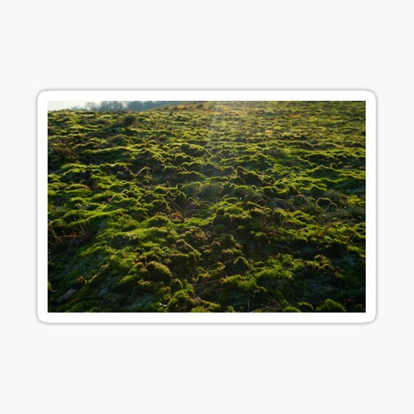 "moss moss moss" Sticker by MochiMoiLens | Redbubble