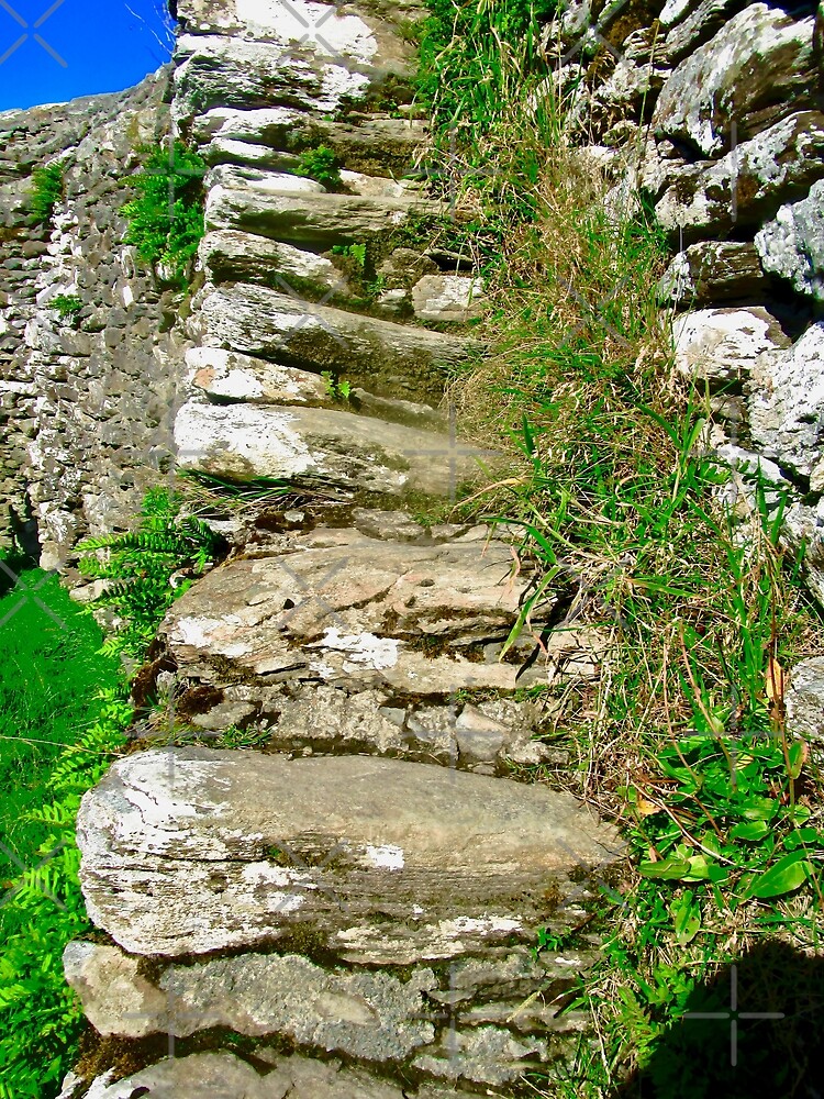 "Stone steps at Grianan of Aileach, Donegal, Ireland" by Shulie1 ...