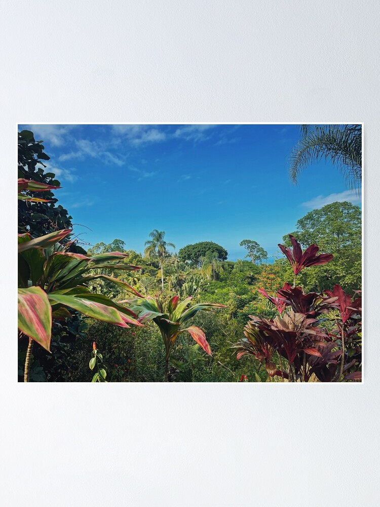 "jungle vegetation" Poster for Sale by psychoshadow | Redbubble