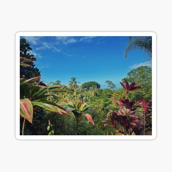 "jungle vegetation" Sticker by psychoshadow | Redbubble