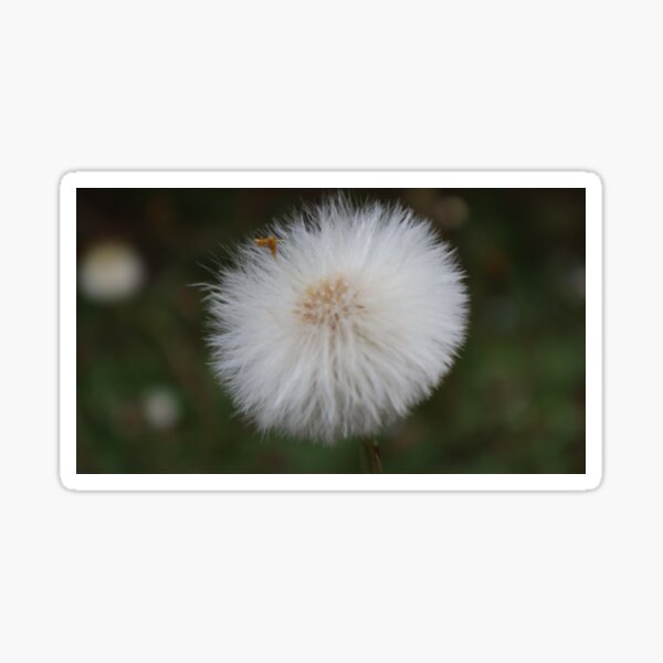 "Puff" Sticker by LifeInCanada | Redbubble