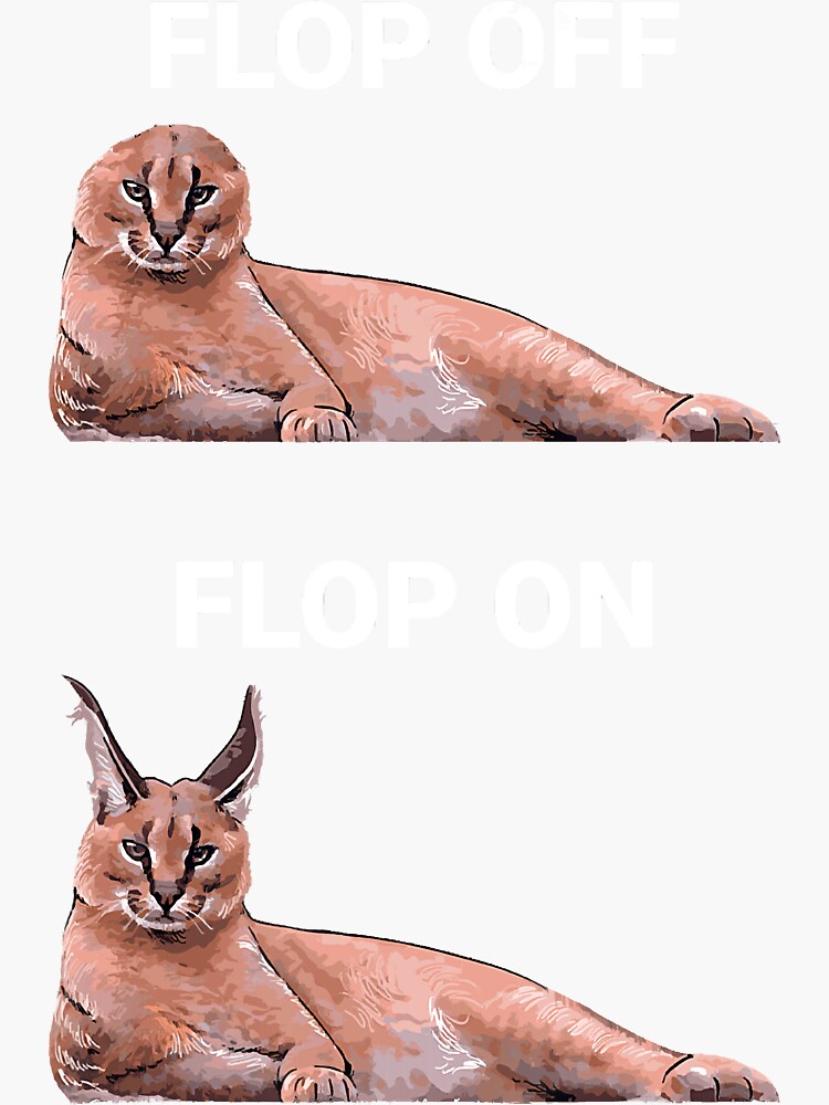 Pegatina «Big Floppa Meme Flop Off Flop On Cute Caracal Cat» de ...