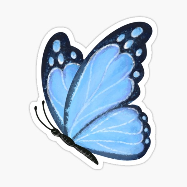 "Taylor Swift Debut Album Butterfly" Sticker for Sale by sarahswiftie ...