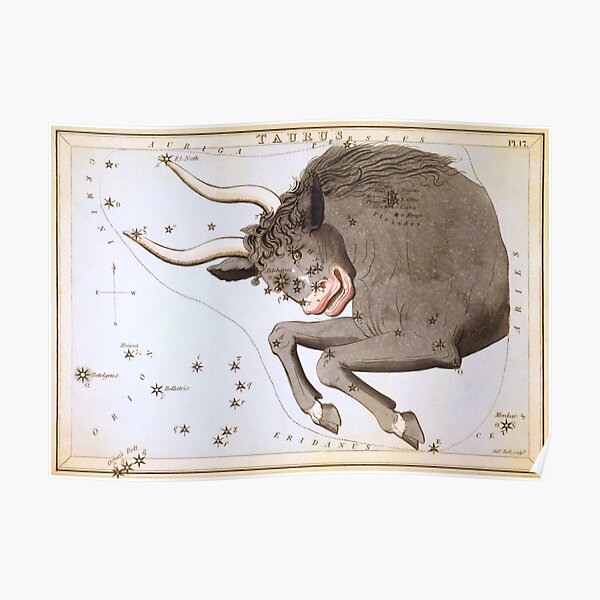 "Antique Taurus Constellation" Poster for Sale by jadeandjester | Redbubble