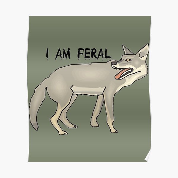 "I Am Feral Funny Bumper - I Am Feral " Poster for Sale by ...