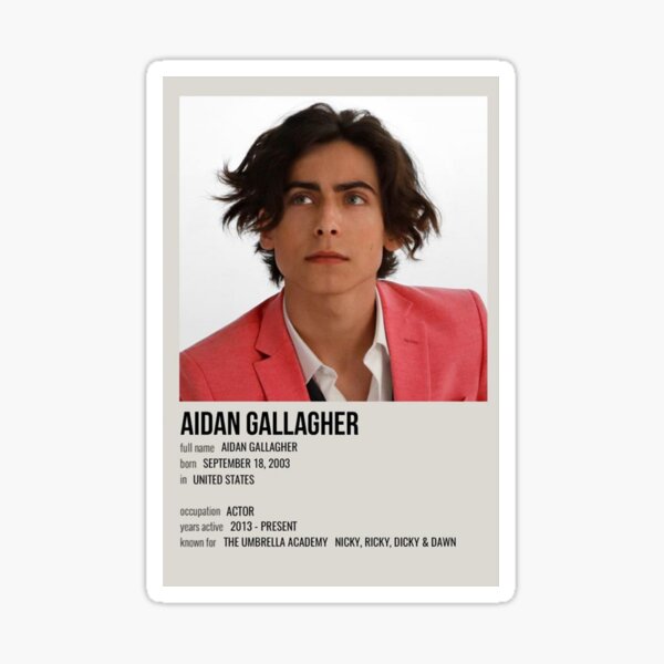 "Aidan Gallagher Polaroid " Sticker by shelalu | Redbubble