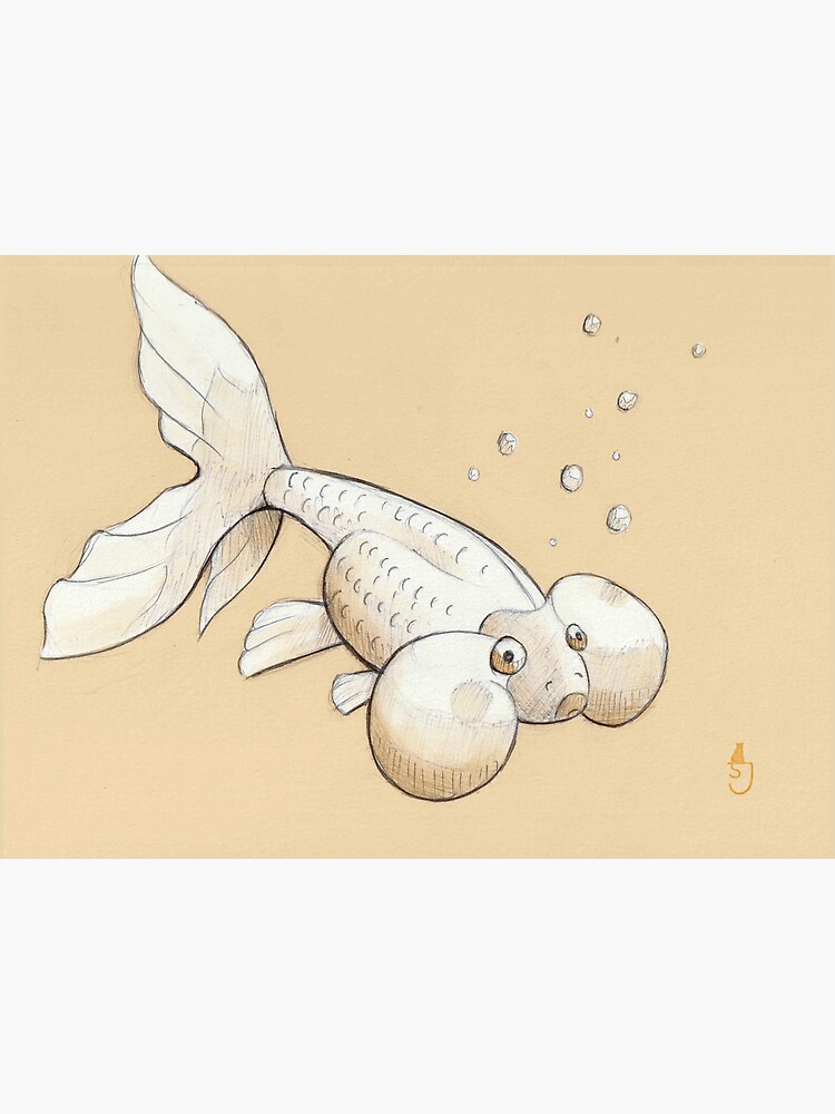 Bubble Eye Goldfish Drawing Bubble Eye Goldfish. This Was Fun To Draw.
