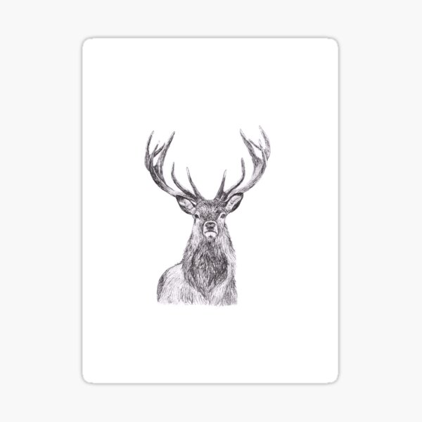 "Stag" Sticker for Sale by Hollyroseart | Redbubble