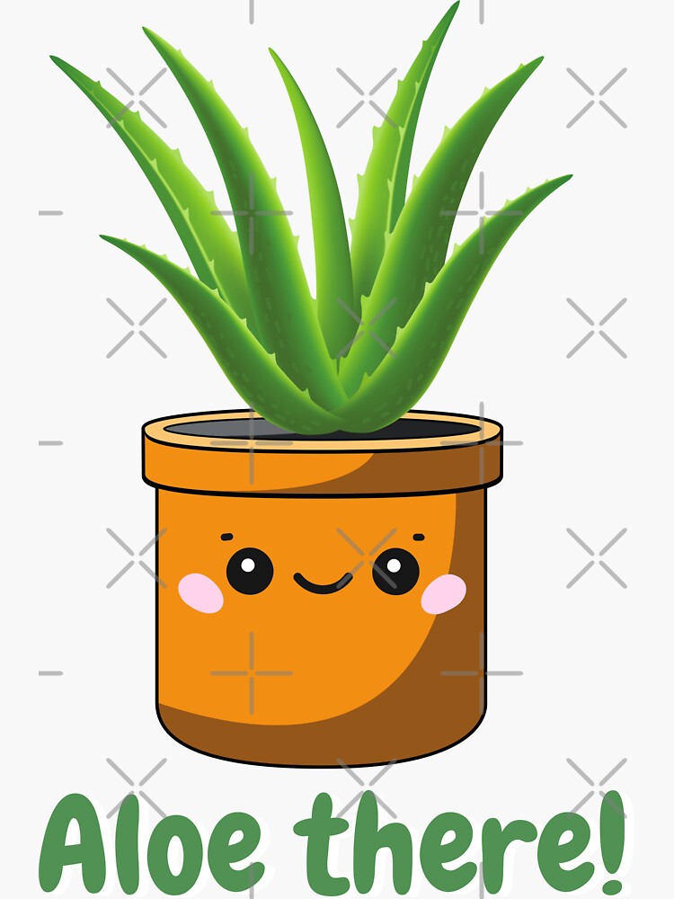 "Cute aloe, Aloe there, Cute aloe vera plant in pot, Funny succulent ...