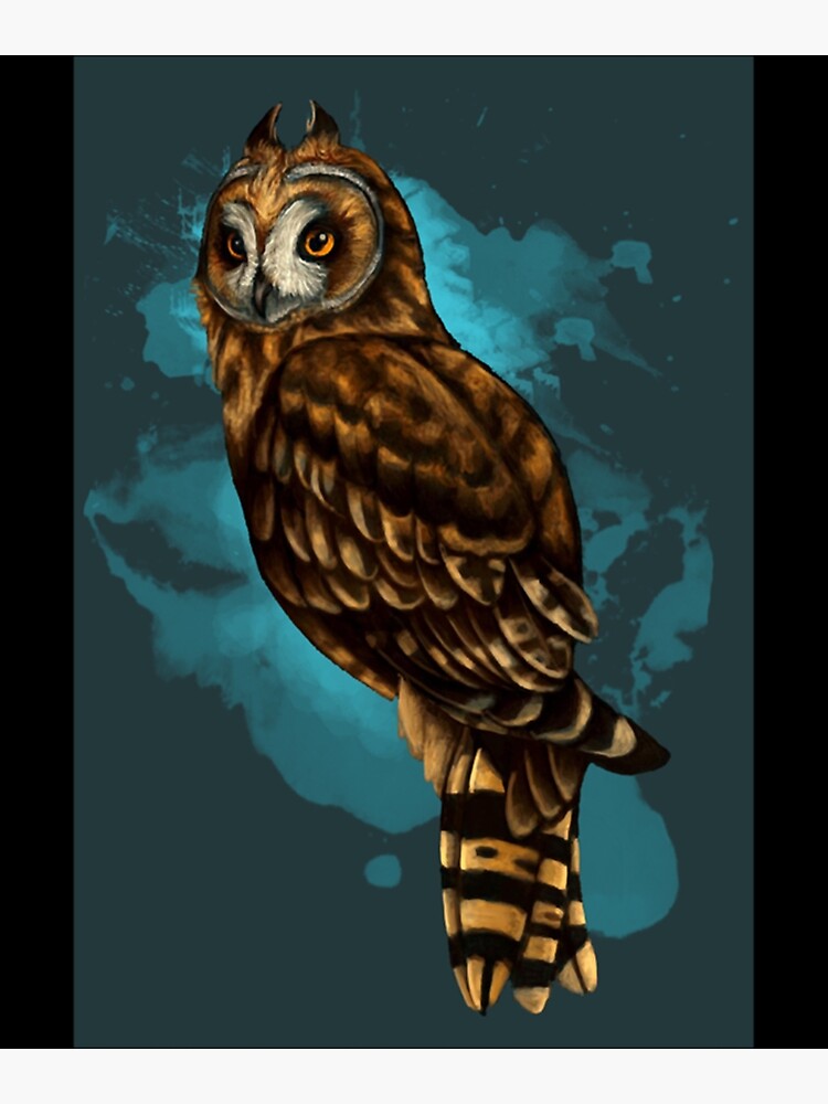 "Hawaiian Owl Pueo The Hawaiian Owl " Poster for Sale by Couthcllothing ...