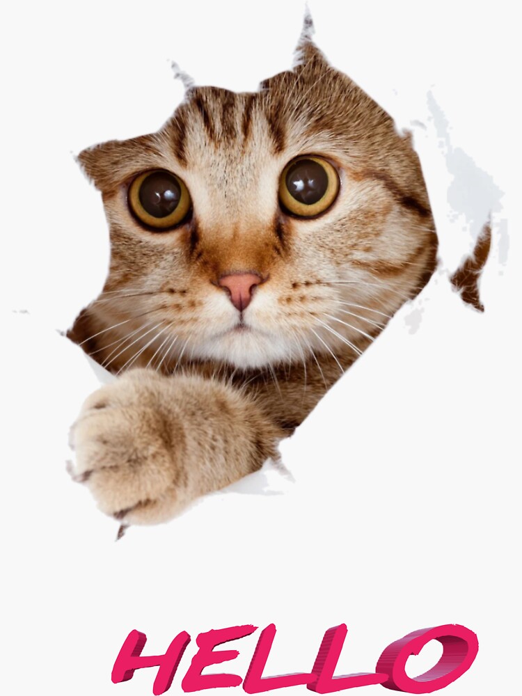 "Cute cat saying hello" Sticker for Sale by Vijay-55 | Redbubble