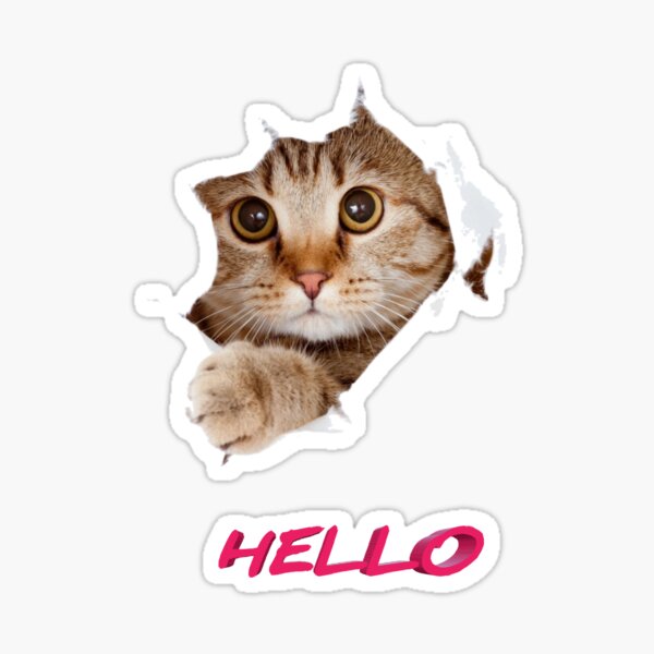 "Cute cat saying hello" Sticker for Sale by Vijay-55 | Redbubble