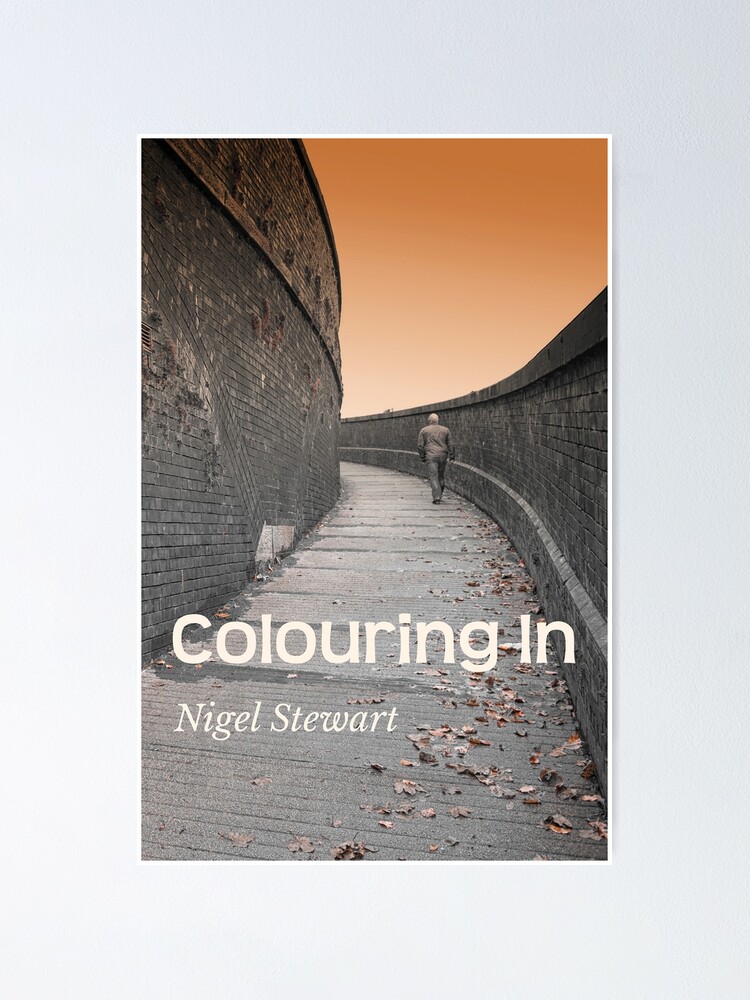Póster «La portada del libro Coloring In de Nigel Stewart» de ...