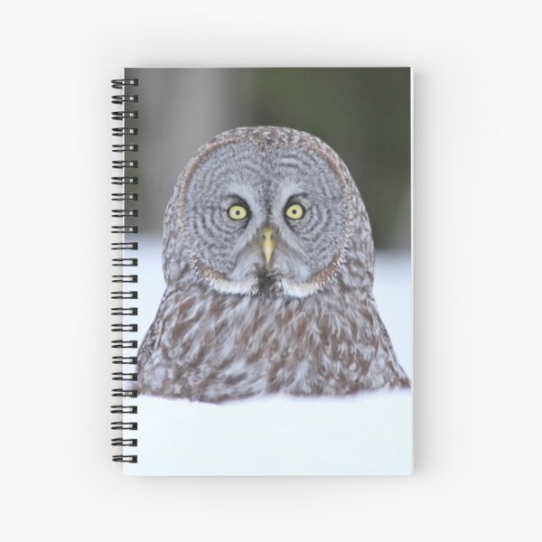 Periscope Gifts & Merchandise | Redbubble