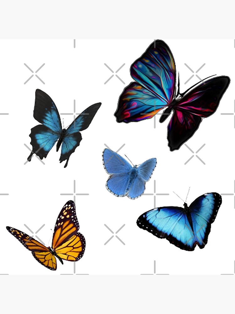 "Colorful and Festive Butterfly Packs" Poster for Sale by Luca-2000 ...