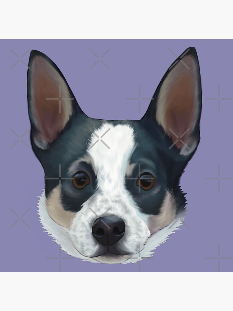 "penny!!" Sticker by mirkoswife | Redbubble