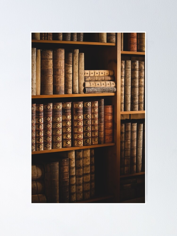 "Library Book Shelves" Poster for Sale by newburyboutique | Redbubble