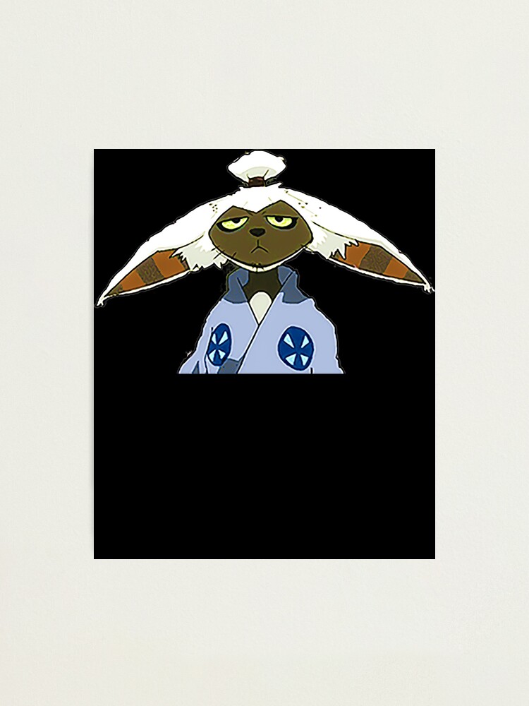 "Avatar the last airbender Samurai Momo From Avatar the Last AirBender ...