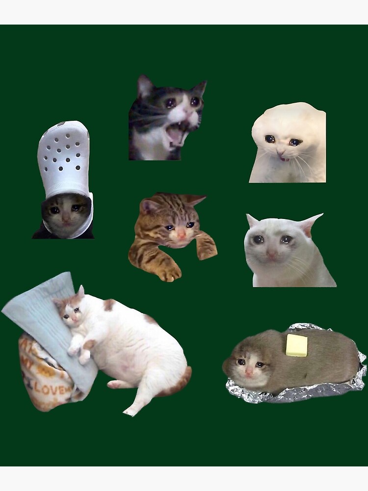 Crying Cat Meme Poster For Sale By Jacksonstephen Redbubble