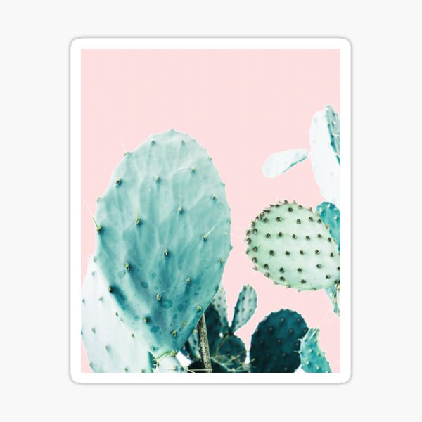 "Cacti, Cactus, Cacti print, Cactus art, Desert, Nature, plant ...